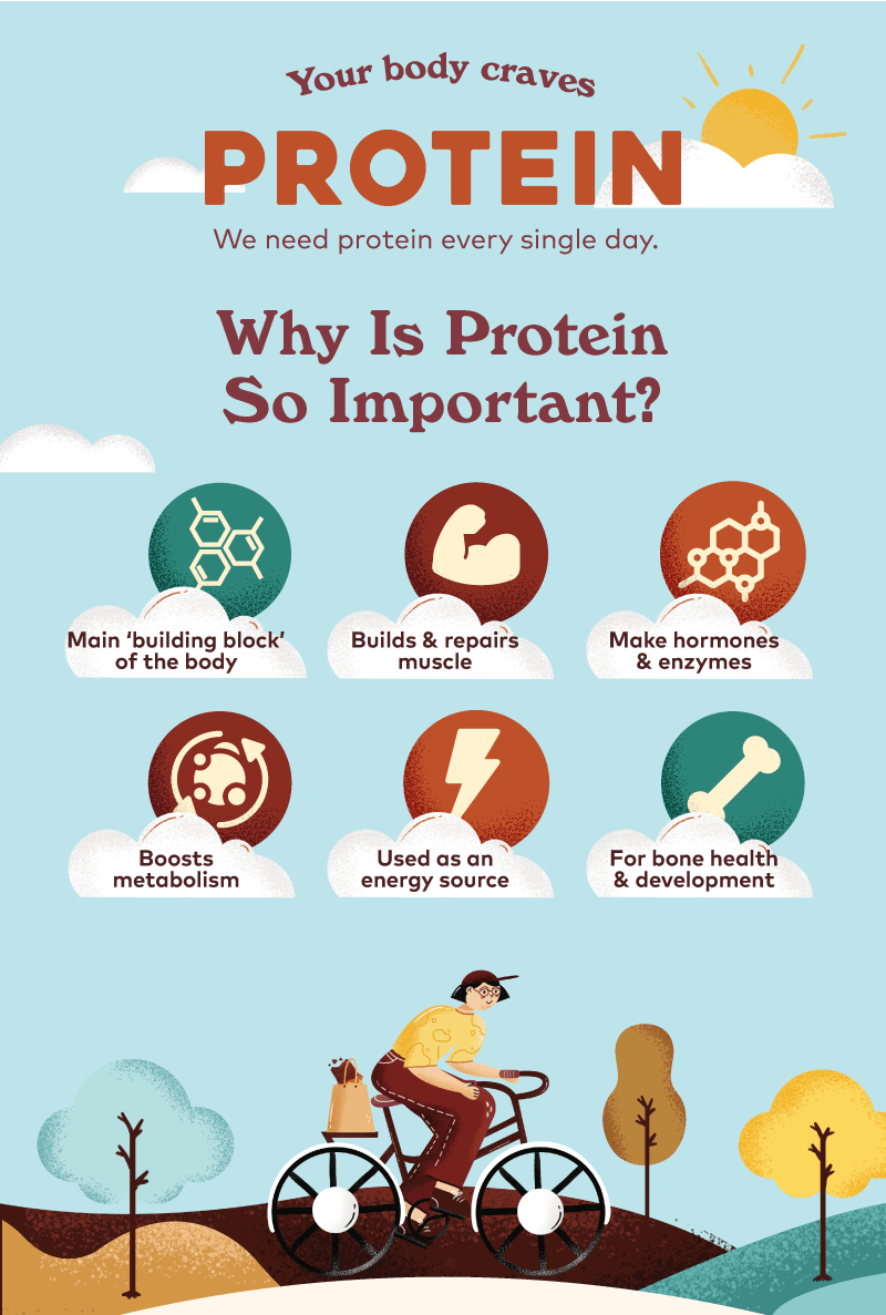What Are Proteins And Why Do We Need Protein In Our Diet