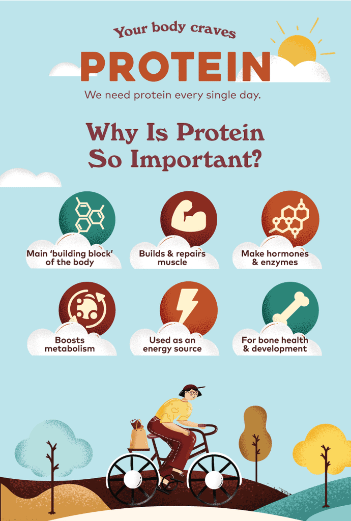 Why Is Protein Important In Your Diet? – Amazin' Graze Singapore